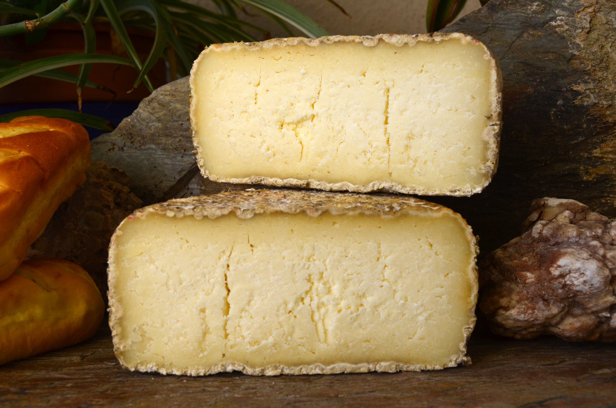 Formatge Legítim, el cheddar del Maresme