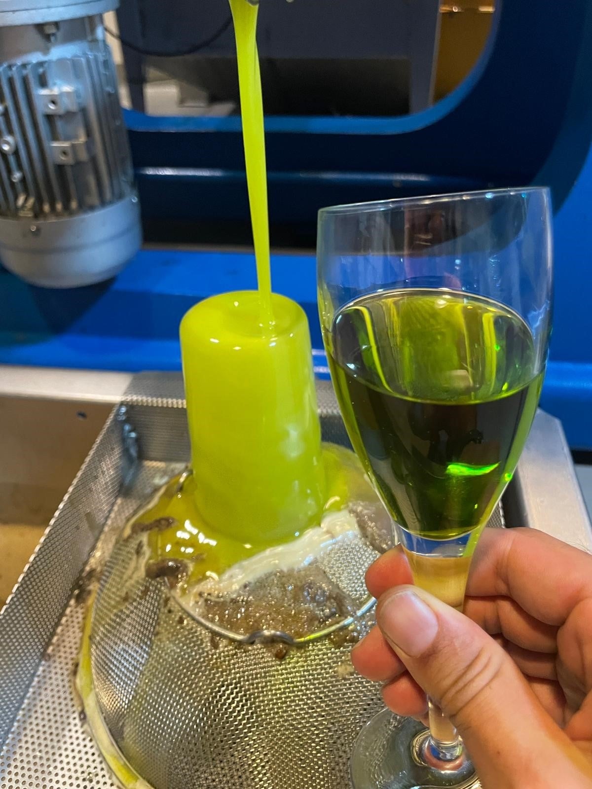 Oli del raig: l’aspecte de l’oli verge extra