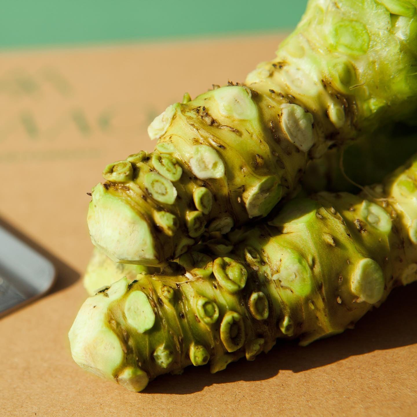 Yamaaoi, el wasabi que ha arrelat al Mediterrani